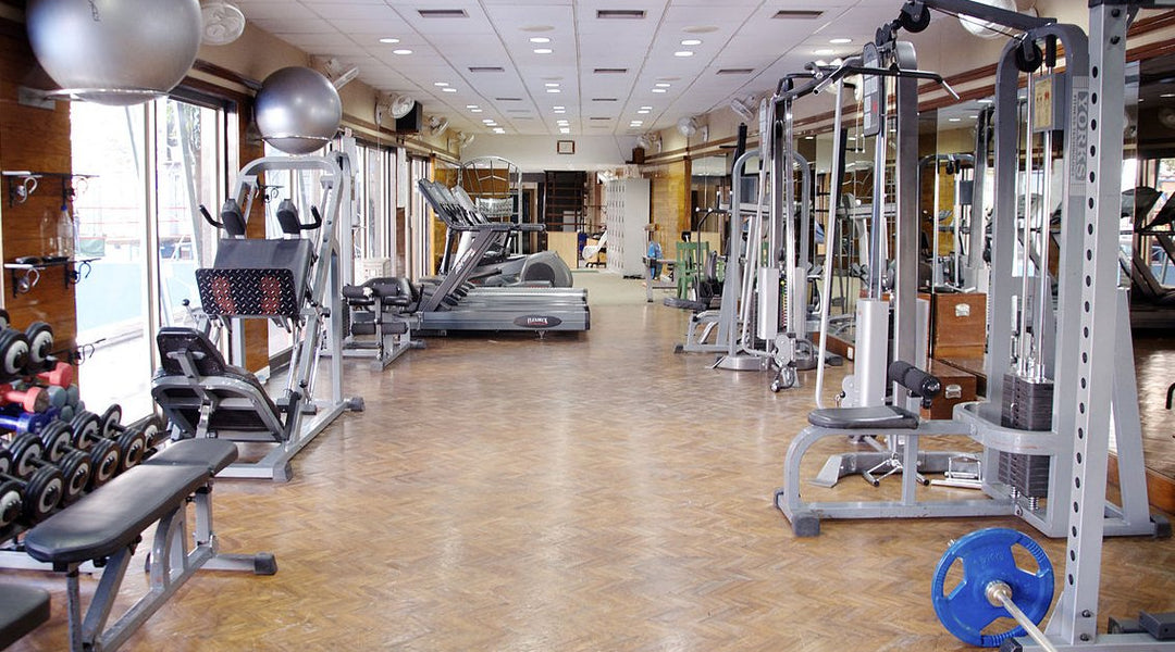 Promax Blog – Page 2 – Promax Nutrition